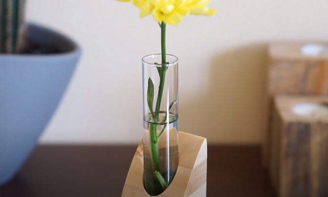 25 Best DIY Test Tube Vase Ideas - DIYnCrafty