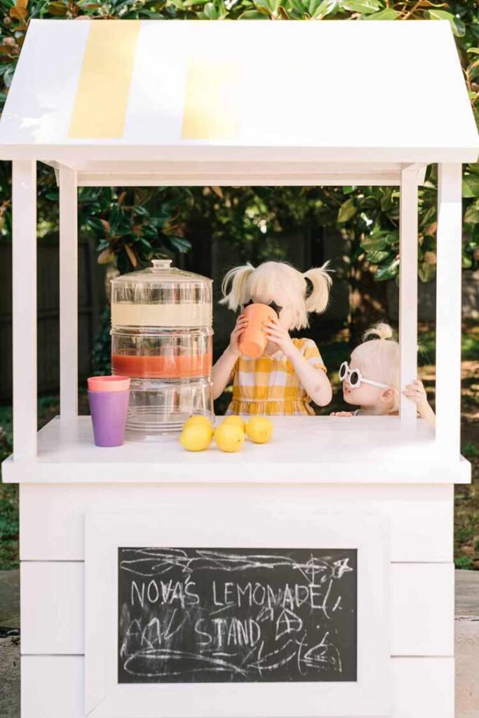 24 Easy DIY Lemonade Stand Ideas - DIYnCrafty
