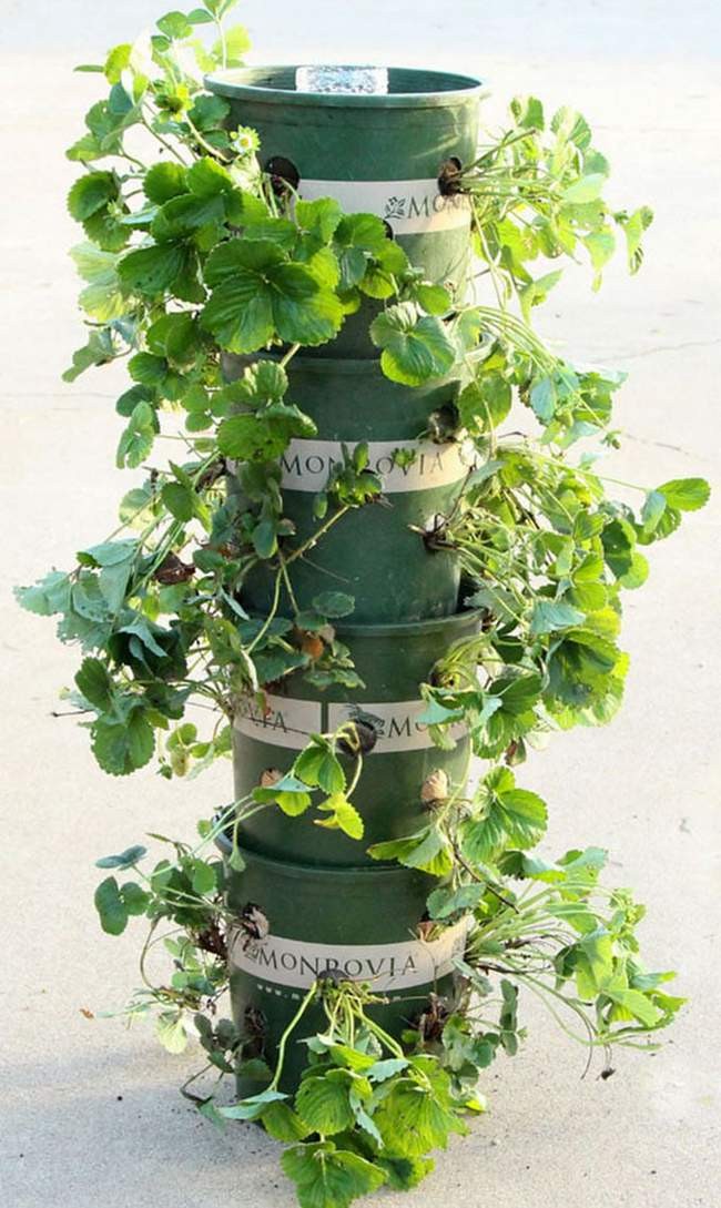 25 DIY Tower Garden Ideas - DIYnCrafty