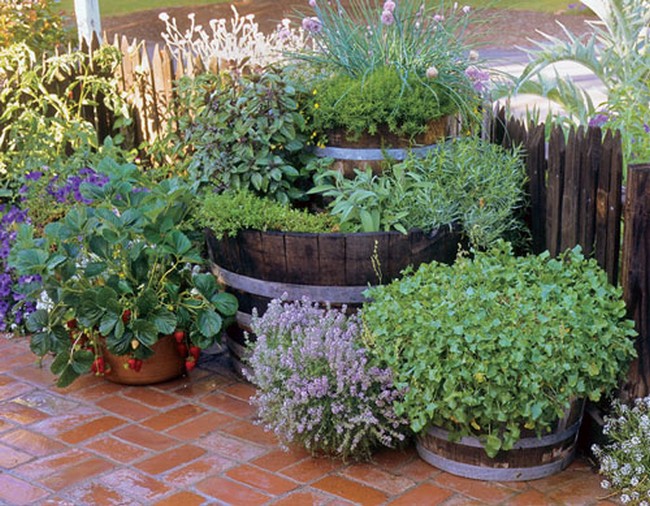 24 DIY Herb Garden Plans - DIYnCrafty