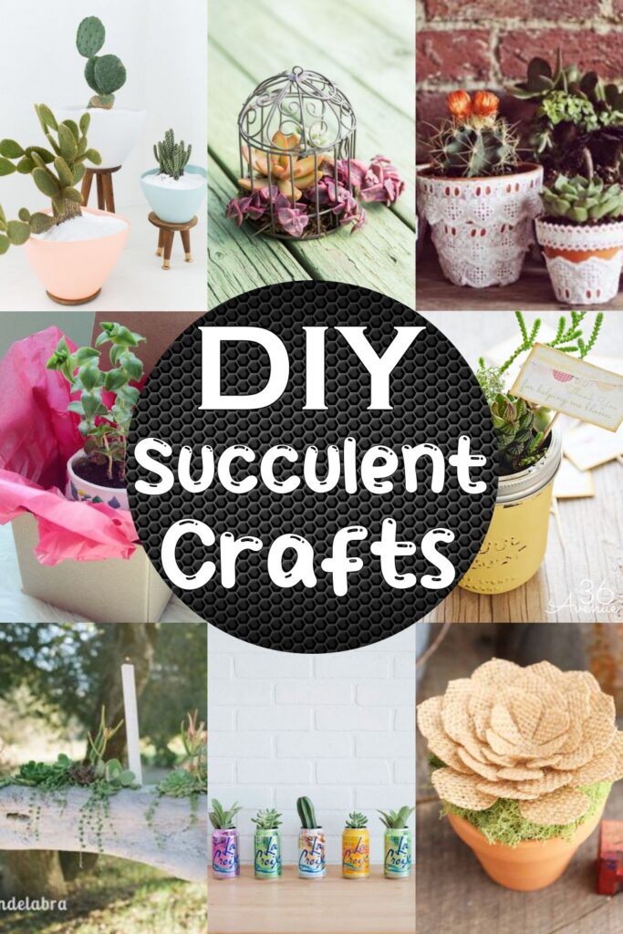 Creative DIY Succulent Crafts - DIYnCrafty