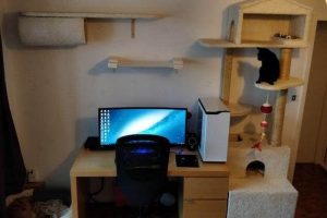 35 DIY Cat Tree Ideas For Small Spaces - DIYnCrafty