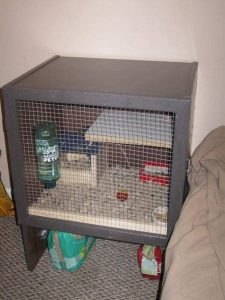 17 Easy DIY Rat Cage Ideas For Your Cute Pet - DIYnCrafty