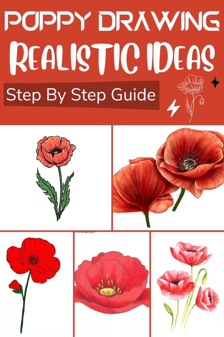 20 Poppy Drawing Ideas - How To Draw Poppy Flower - DIYnCrafty