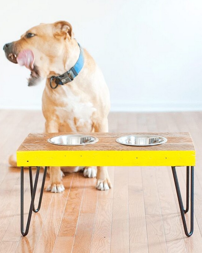 21 DIY Dog Bowl Stand Plans For Canine - DIYnCrafty