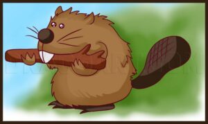 20 Beaver Drawing Ideas - How To Draw A Beaver - DIYnCrafty