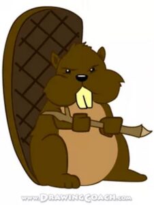 20 Beaver Drawing Ideas - How To Draw A Beaver - DIYnCrafty