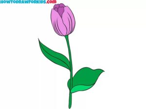 25 Tulip Drawing Ideas - How To Draw Tulip - DIYnCrafty