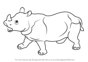 21 Best Rhino Drawing Ideas - How To Draw Rhino - DIYnCrafty