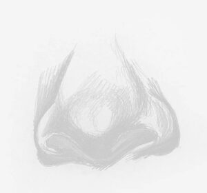 20 Nose Drawing Ideas For Drawing Enthusiasts - DIYnCrafty