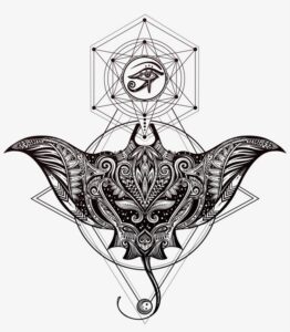 18 Stingray Drawing Ideas - Step By Step Guide - DIYnCrafty